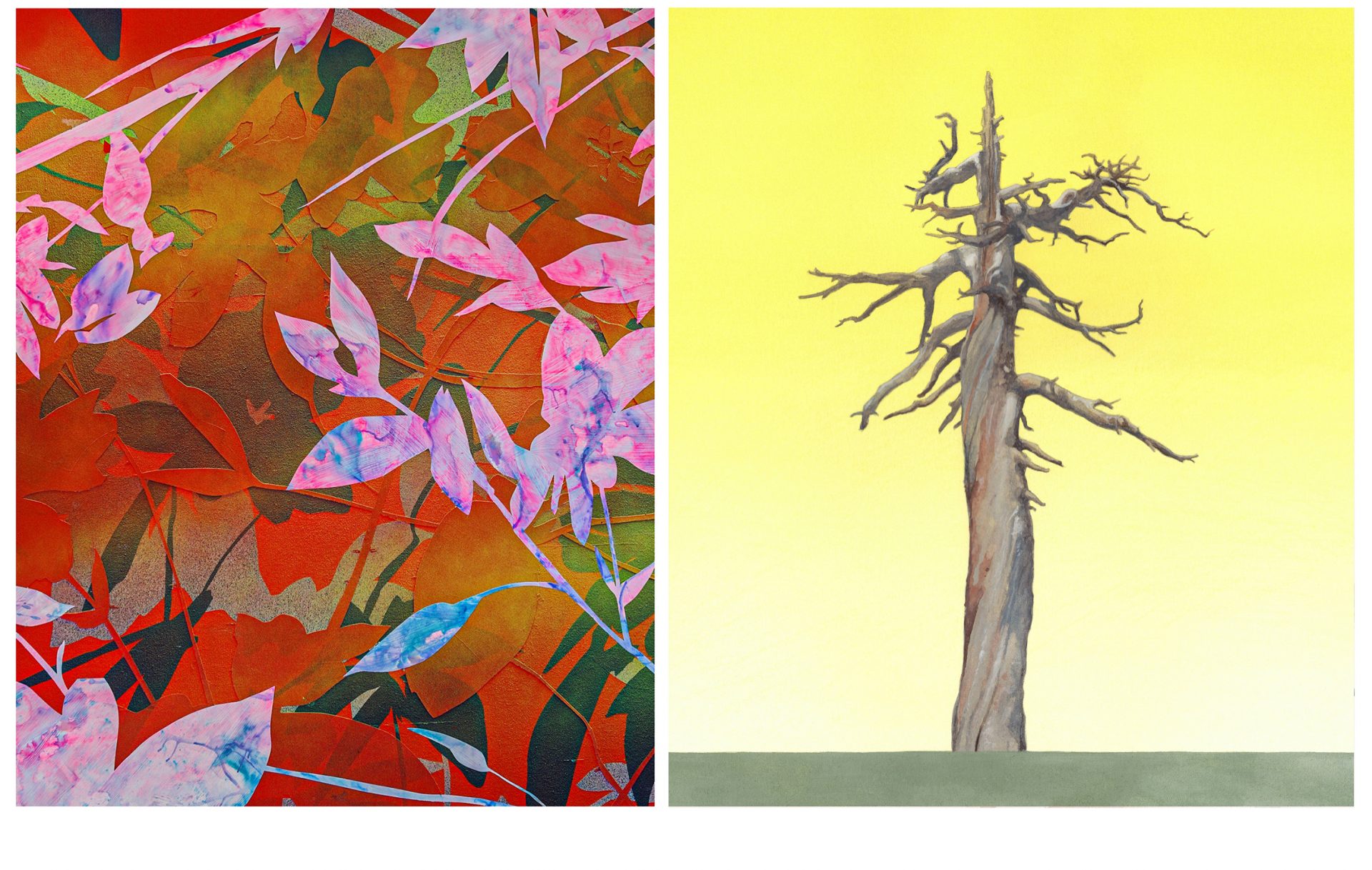 Greg Rose and Devon Tsuno Exhibit